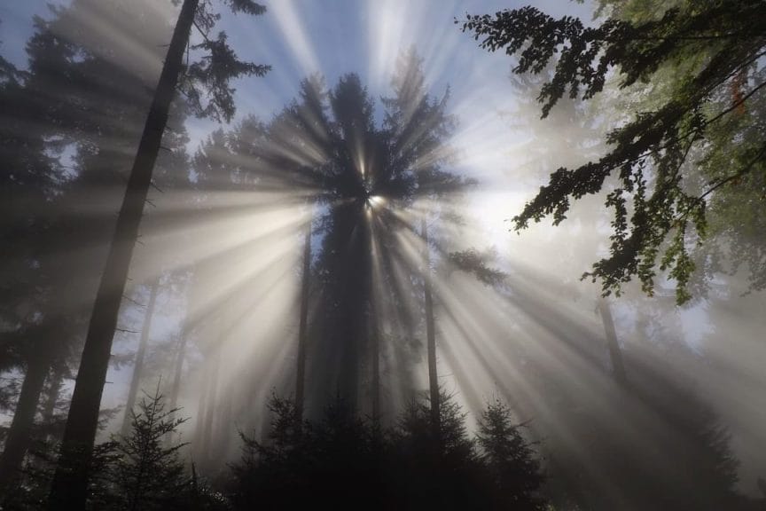 The Power of Perception in General Psychology